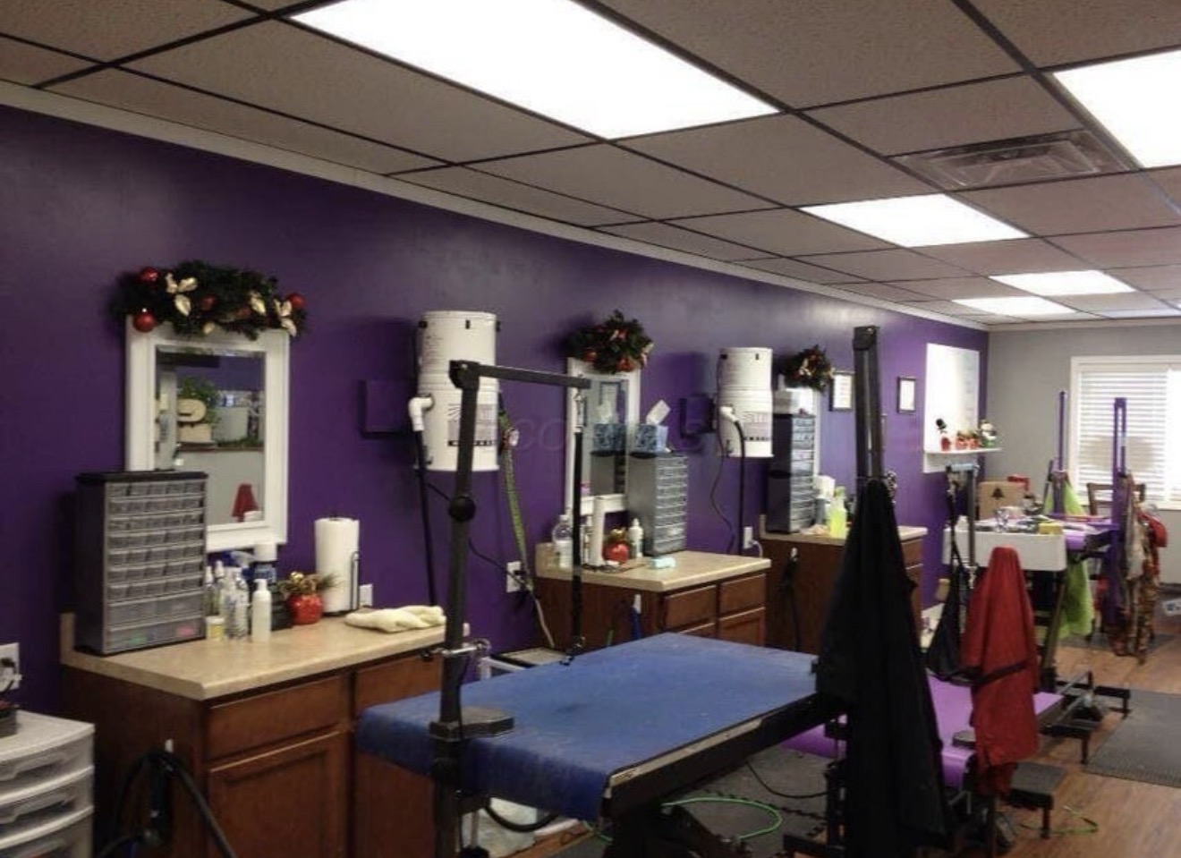 Turnkey Business Operation – KENNEL CONNECT